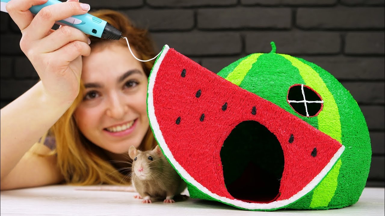 How to draw watermelon house with 3D pen for pet rat