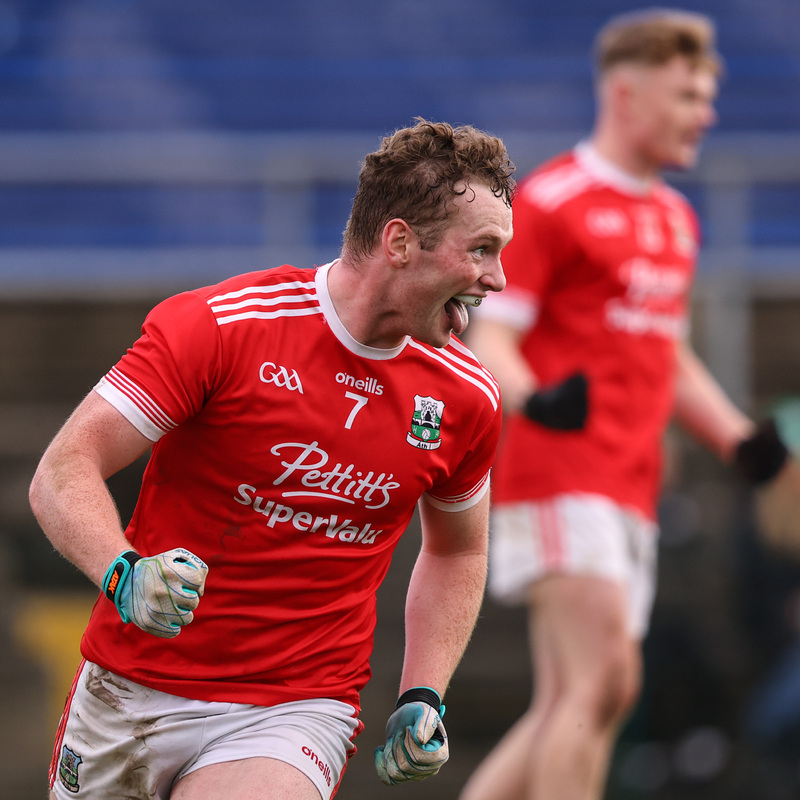 Athy make light work of Baltinglass, Castletown retain Wexford championship