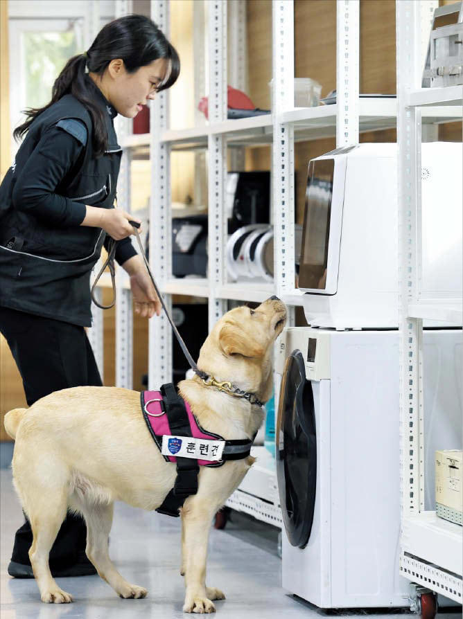 Detection Dogs 'Nose of the Border' Tackle Sophisticated Drug Smuggling ...