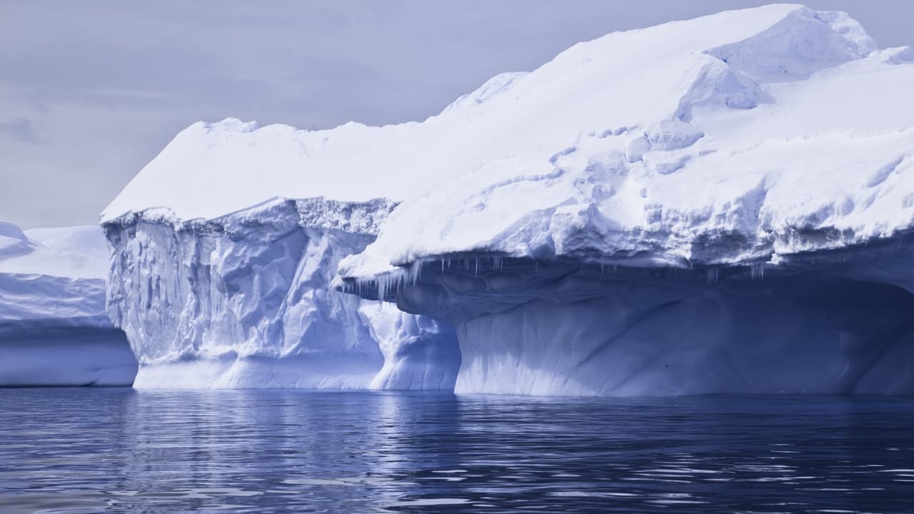 Antarctica’s Ice Shelves May Collapse by 2300, Scientists Warn