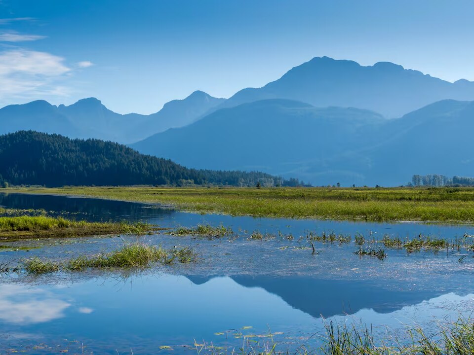 Le parc régional Widgeon Marsh désormais ouvert au public