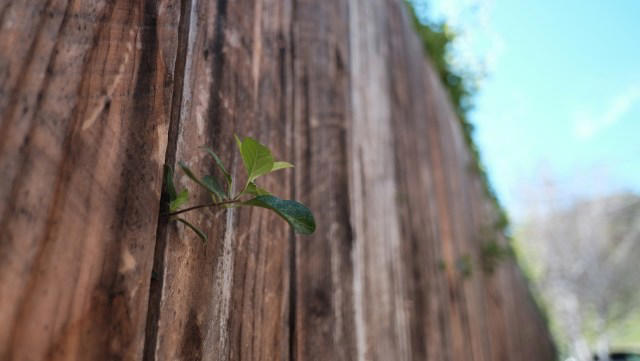 Homeowner shocked after neighbor makes problematic property change ...