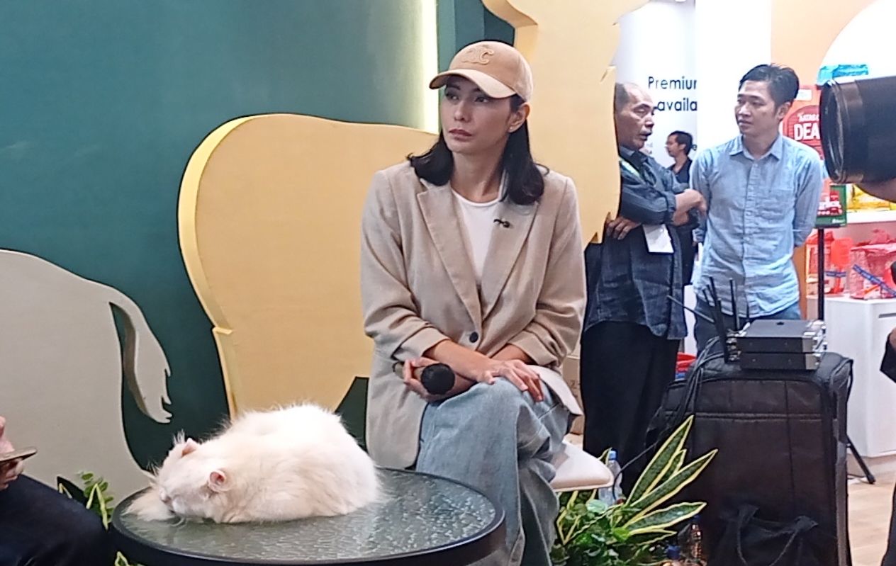 Rawat 23 Ekor Kucing, Tyas Mirasih Habiskan 40 Kilogram Dry Food ...