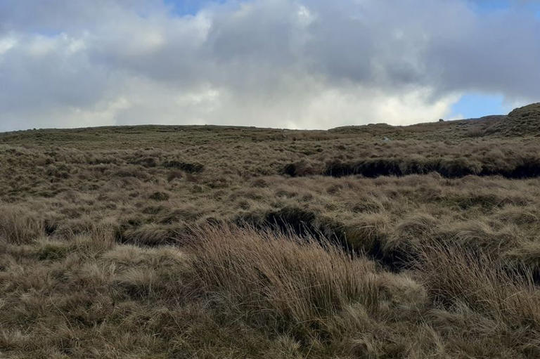 Campaigners issue rallying cry to stop 'largest onshore wind farm in ...