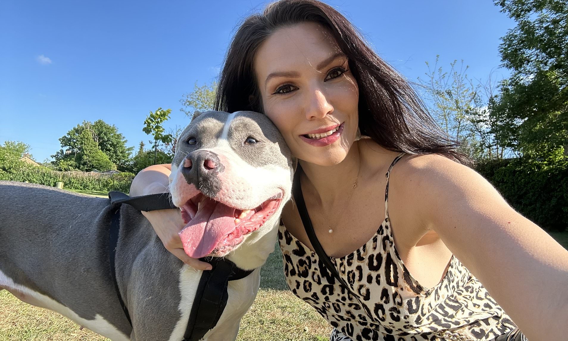 'I feel like it's educating me': Half of adults now use AI to manage ...