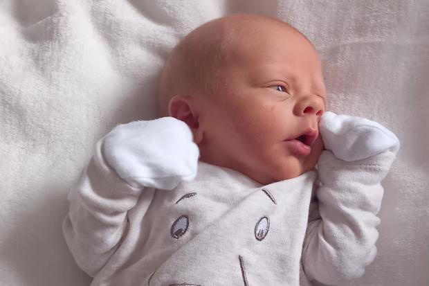 Say a big hello to one of Gwent's newest arrivals