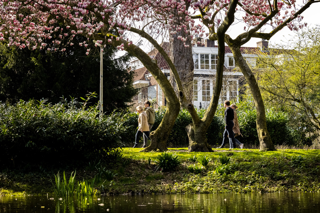 Van motregen naar lentegevoel: november toont zijn milde kant
