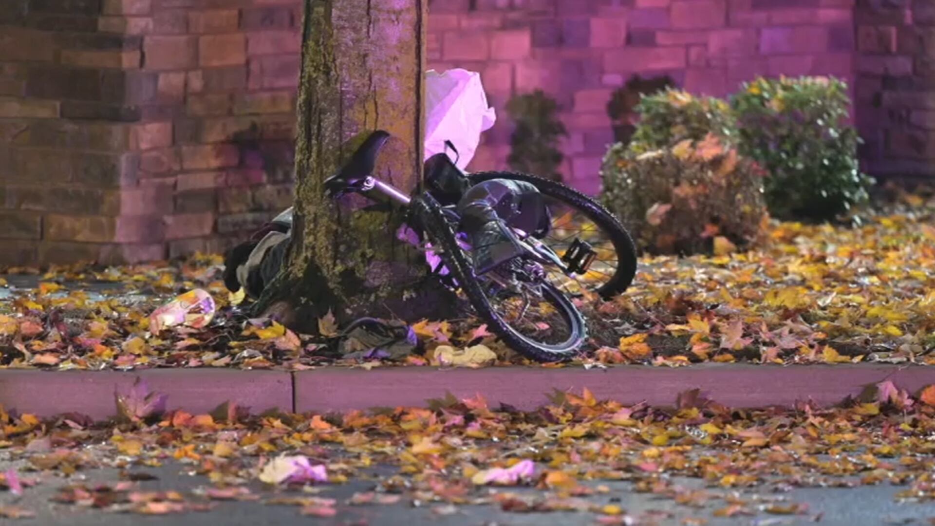 Woman hospitalized by hit-and-run while riding bicycle in NE Portland ...