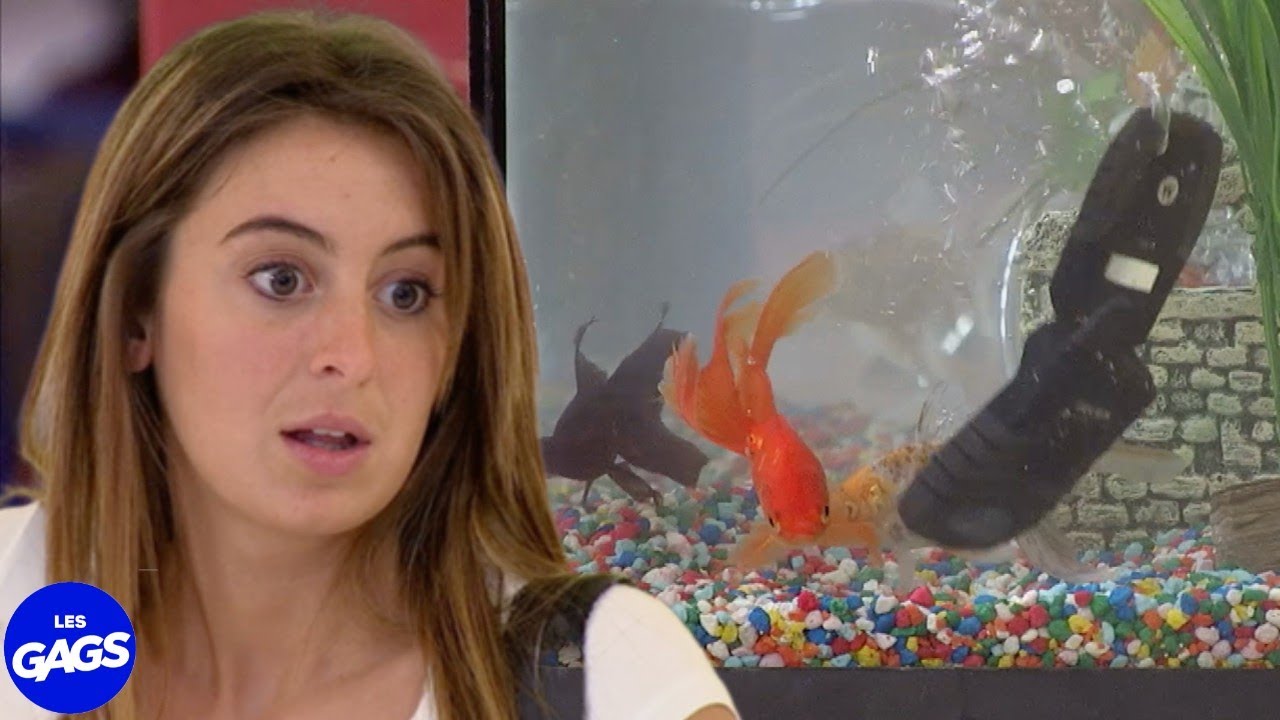 Le poisson fait des appels | Juste Pour Rire Les Gags