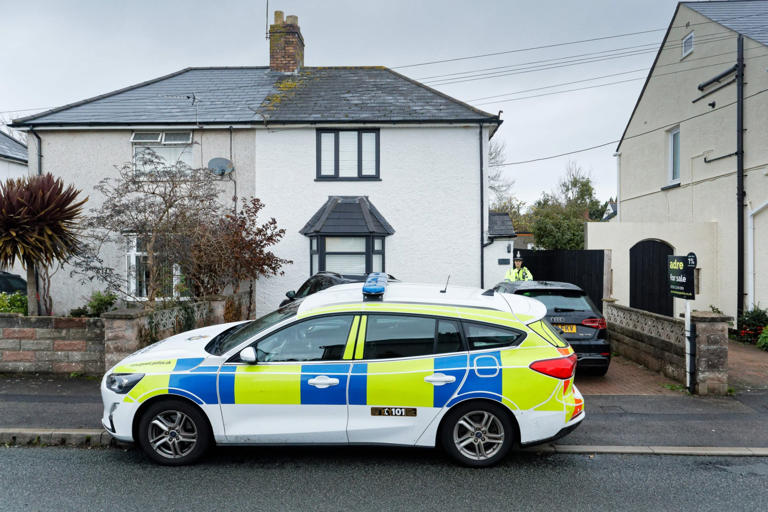 Baby killed in dog attack in Welsh village