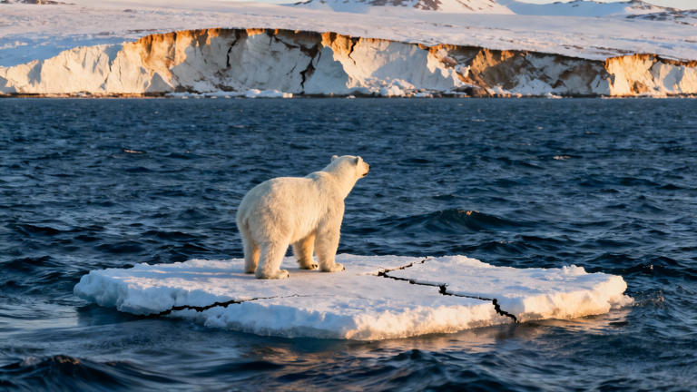 Le Groenland dérive de 2 cm par an, et cela pourrait tout changer