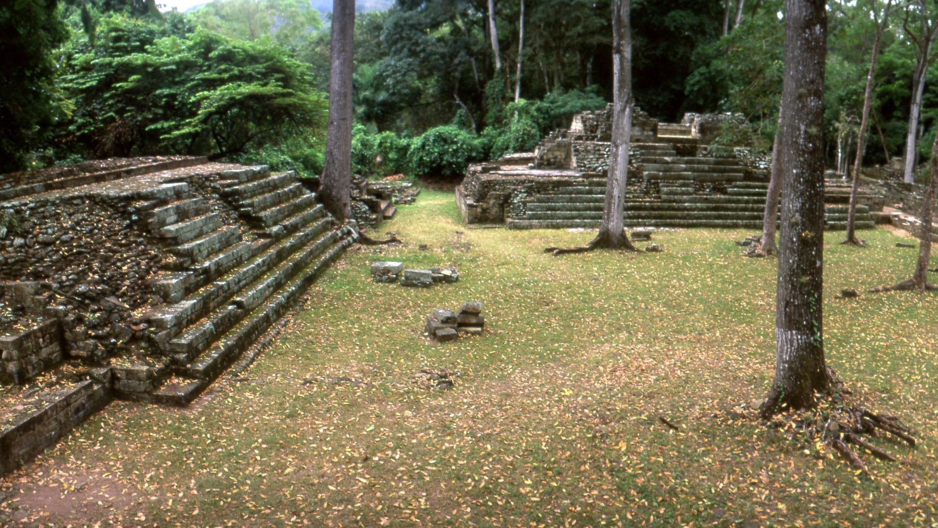 Researchers analyzed DNA samples that proved the Mayan civilization ...