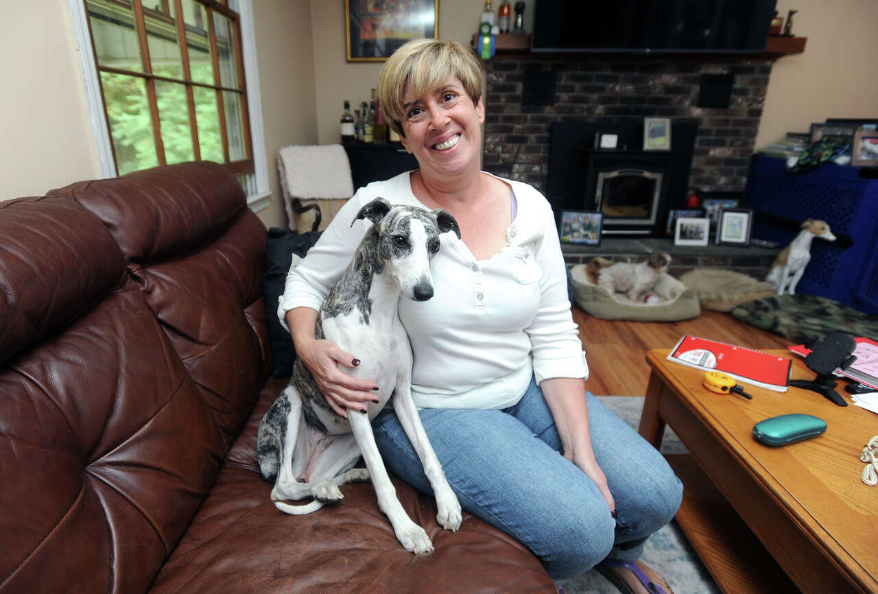 Life of a CT show dog is one of pampering, playing and grooming