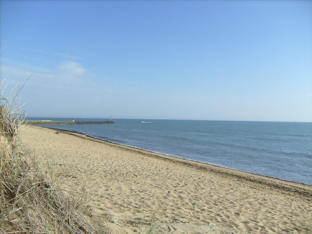 À l’île de Ré, le génie écologique sauve la plage de Trousse-Chemise de ...
