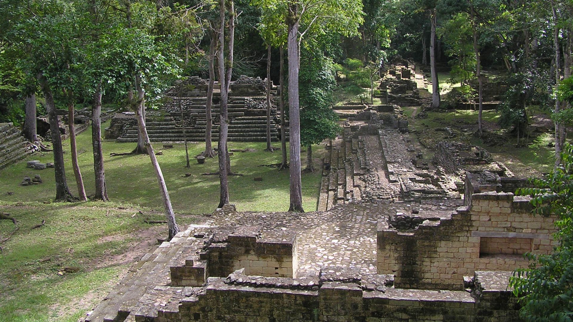 Researchers analyzed DNA samples that proved the Mayan civilization ...