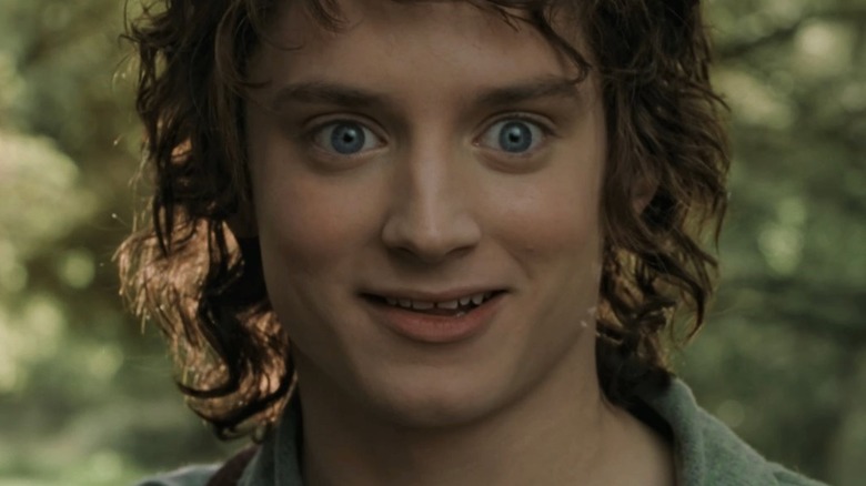 Frodo Baggins' 12 Best Moments In The Lord Of The Rings Franchise Ranked