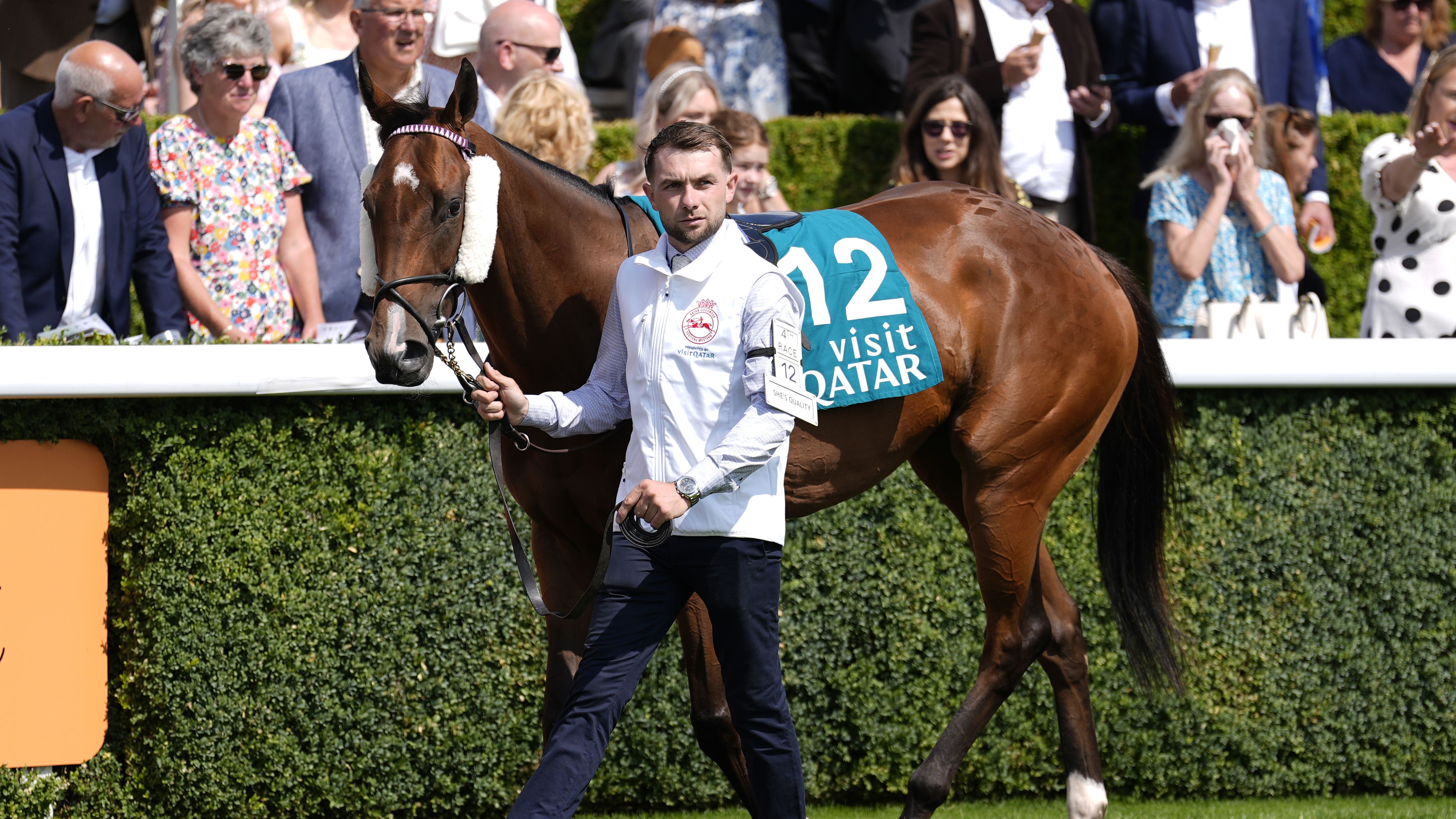 Jack Davison announces death of star sprinter She’s Quality