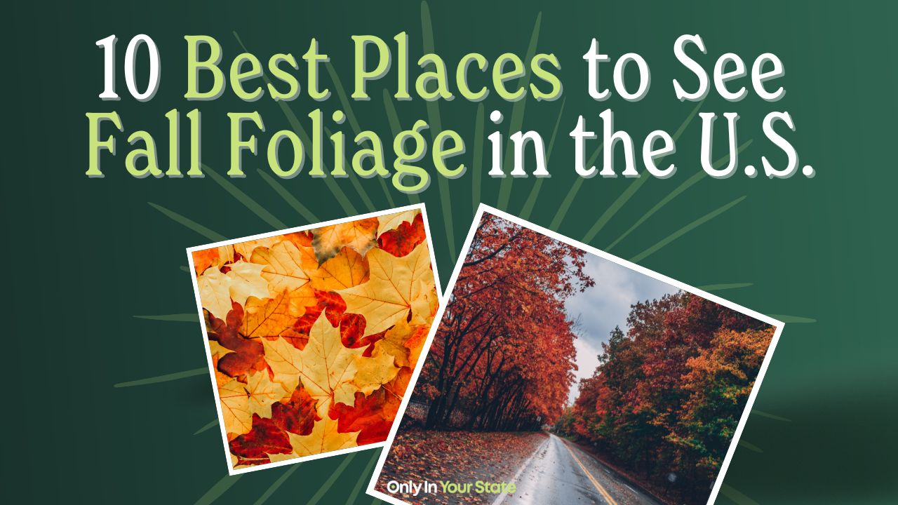 The 10 Best Places to See the Most Beautiful Fall Foliage Across ...