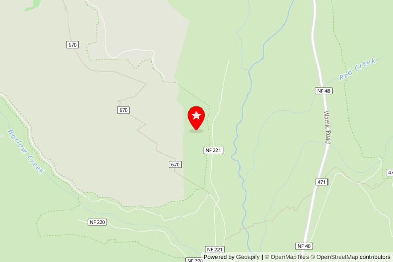 7 Forest Trails Around Mount Hood, Oregon Perfect for Summer Adventures ...