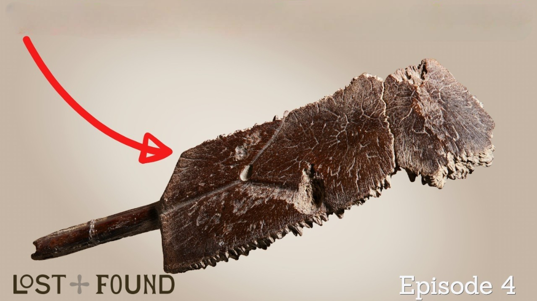 A Mystery Bone Found on the Thames Foreshore Reveals More Than I Expected