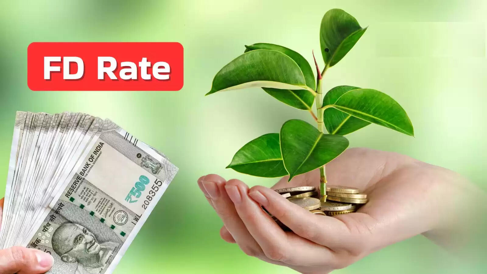 Top 10 Banks Offering Highest FD Interest Rates for Senior Citizens in 2025