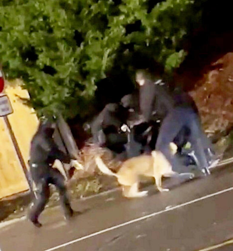 Dramatic moment UK train stabbing suspect arrested by armed cops