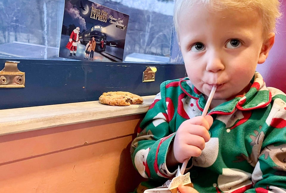 Best Polar Express Train Rides and Christmas Trains Near DC (2025 Guide ...