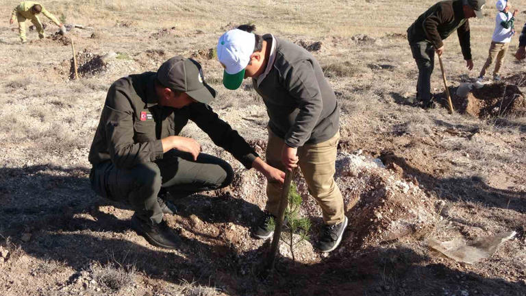 Yeşil Vatan Şehidi Bayram Eren Arslan adına Sorgun’da hatıra ormanı ...