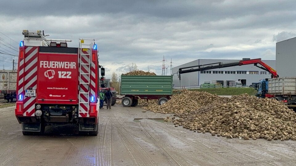 Arbeiter unter Zuckerrüben begraben: tot