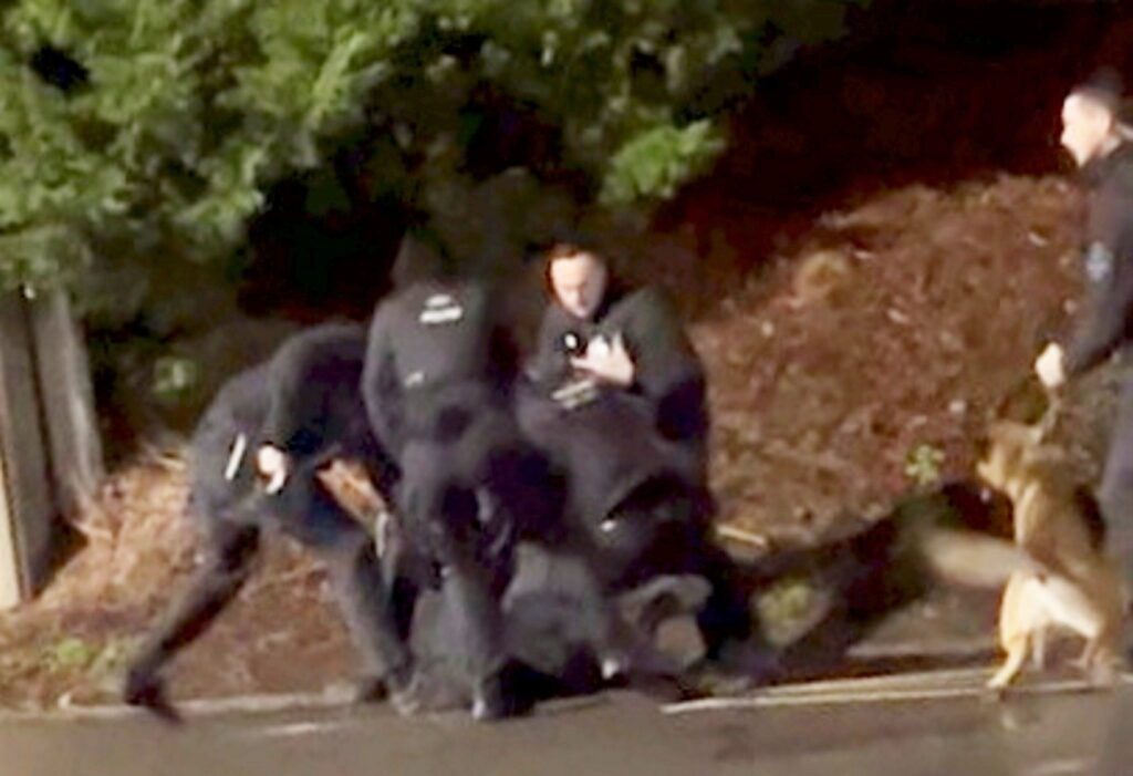 Dramatic moment UK train stabbing suspect arrested by armed cops