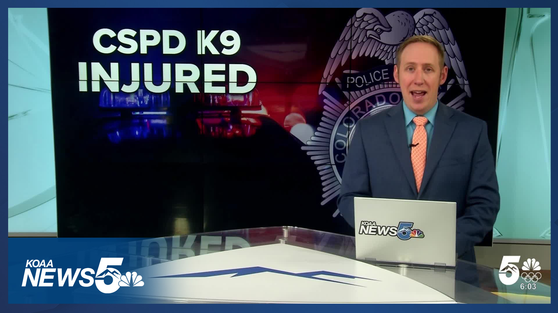K-9 Roam's Attacker in Court Monday - Police Dog Lost Leg After ...
