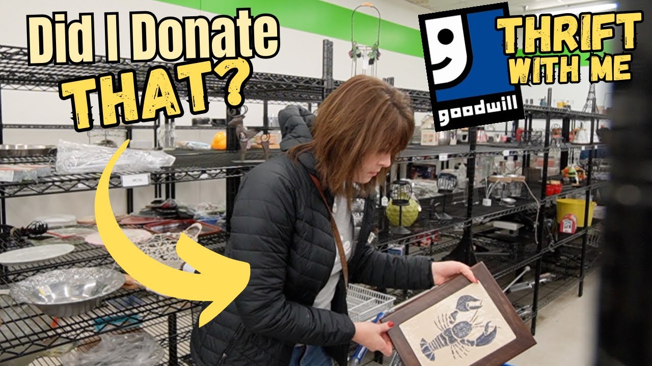 Wait, Did I Donate That? | Goodwill Thrift with Me