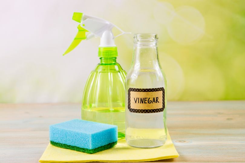 Cleaning expert shares 3 areas of home where you should never use white ...