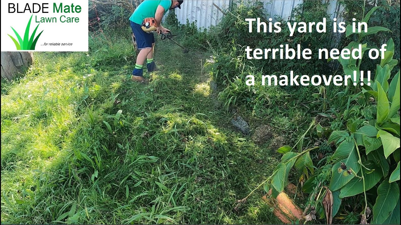 Another yard rescue – tackling tall grass with lawn mowing in Australia!