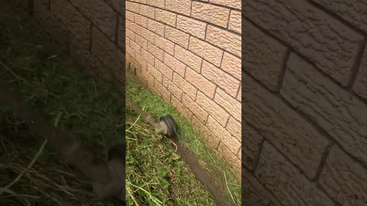 Backyard transformation!