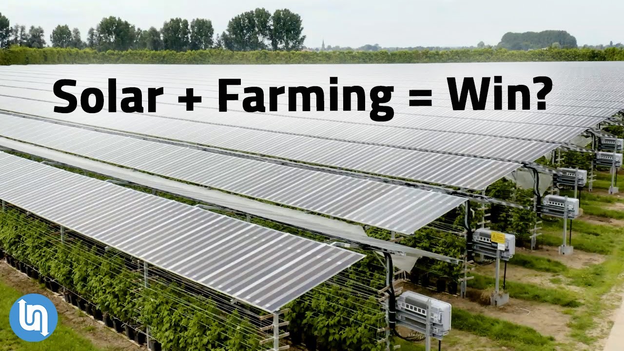 Solar panels plus farming? Agrivoltaics explained