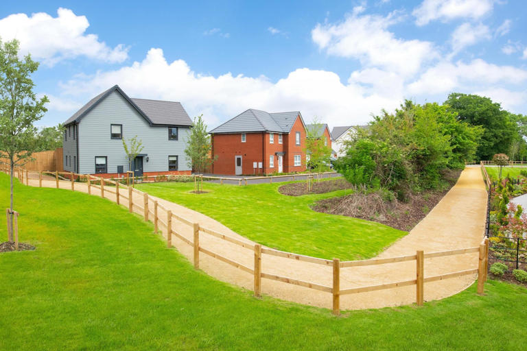 Top five tips to protect hedgehogs in Warwickshire this Bonfire Night