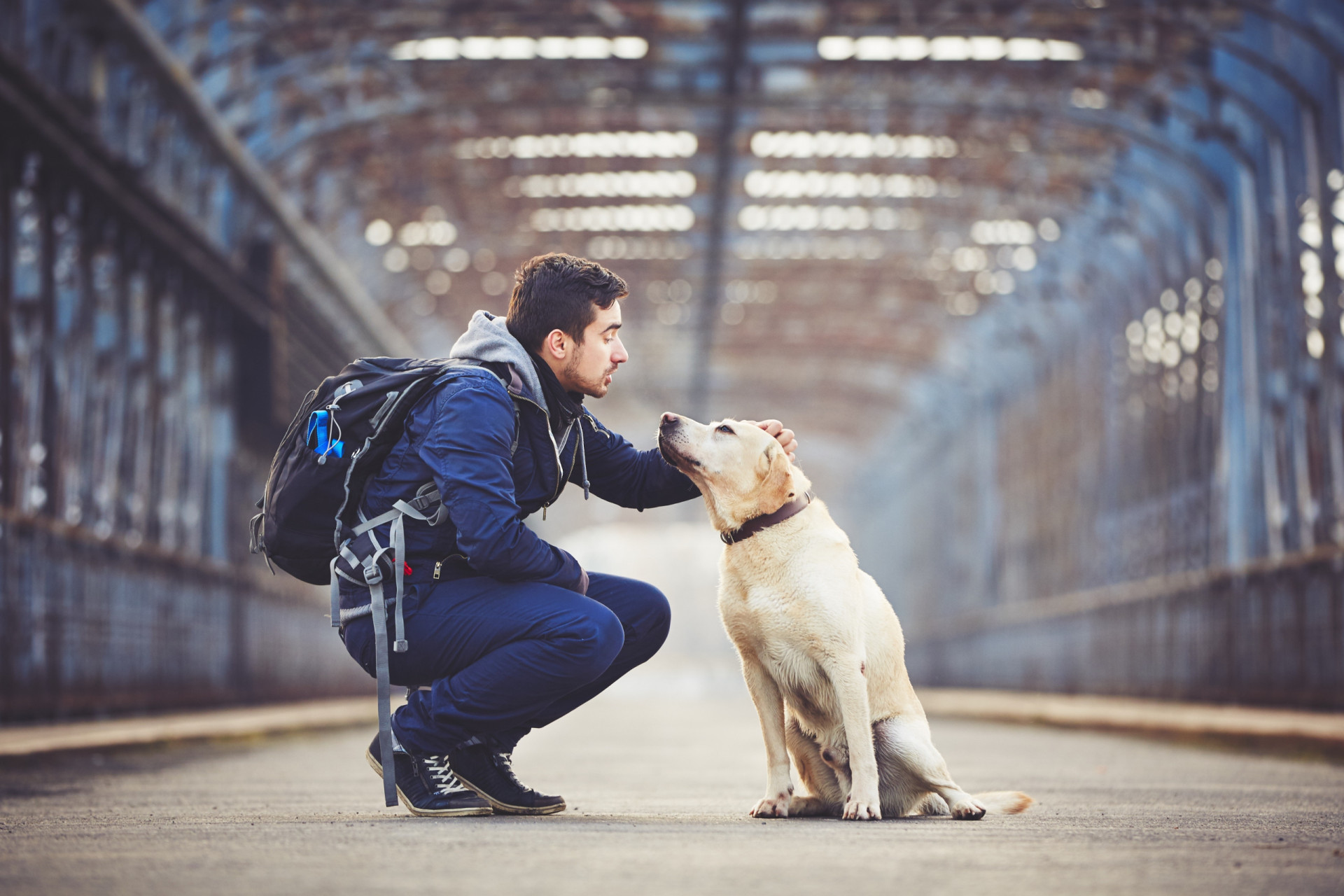 Cómo alargar la vida de tu perro con ayuda de la ciencia