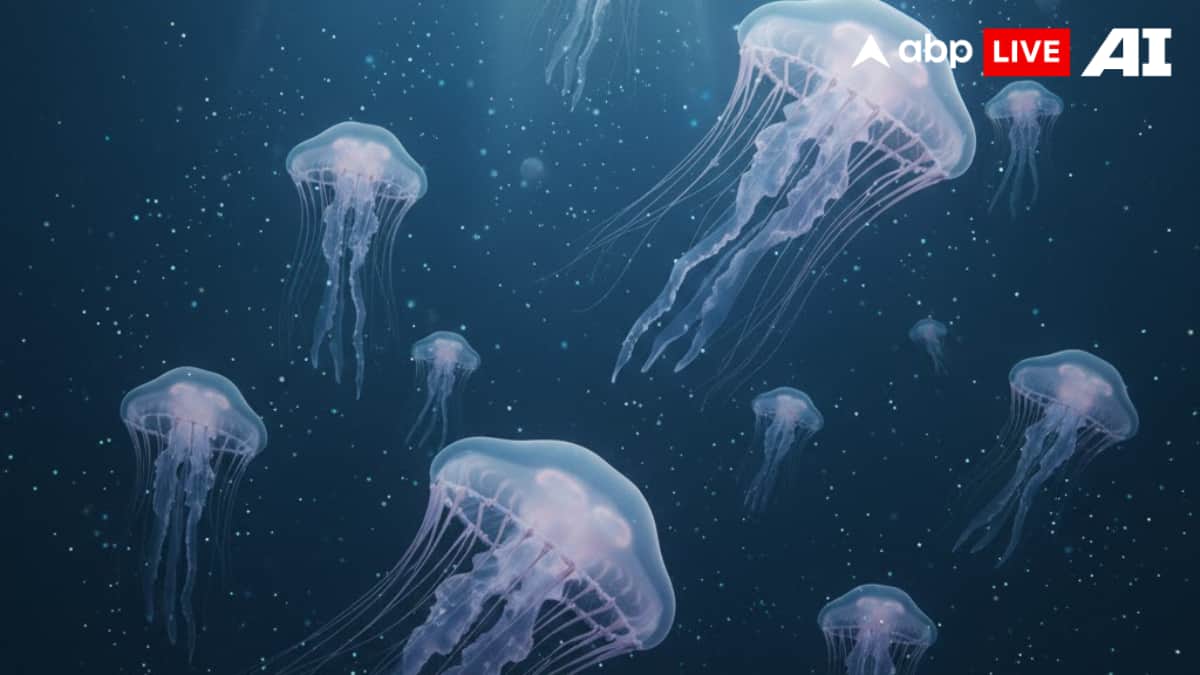 World Jellyfish Day 2025: 7 Mind-Blowing Facts About Ocean's Most ...