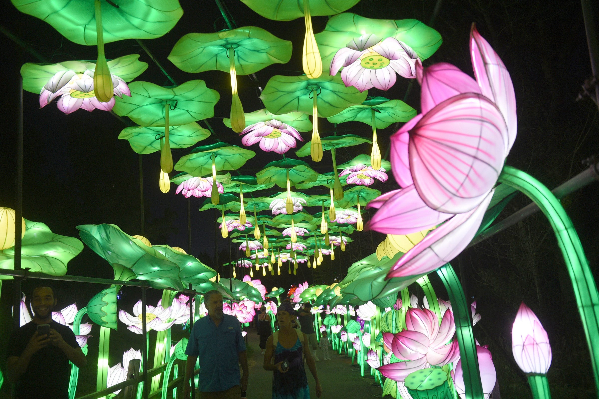 Family activities in Northern Nevada during Thanksgiving 2025