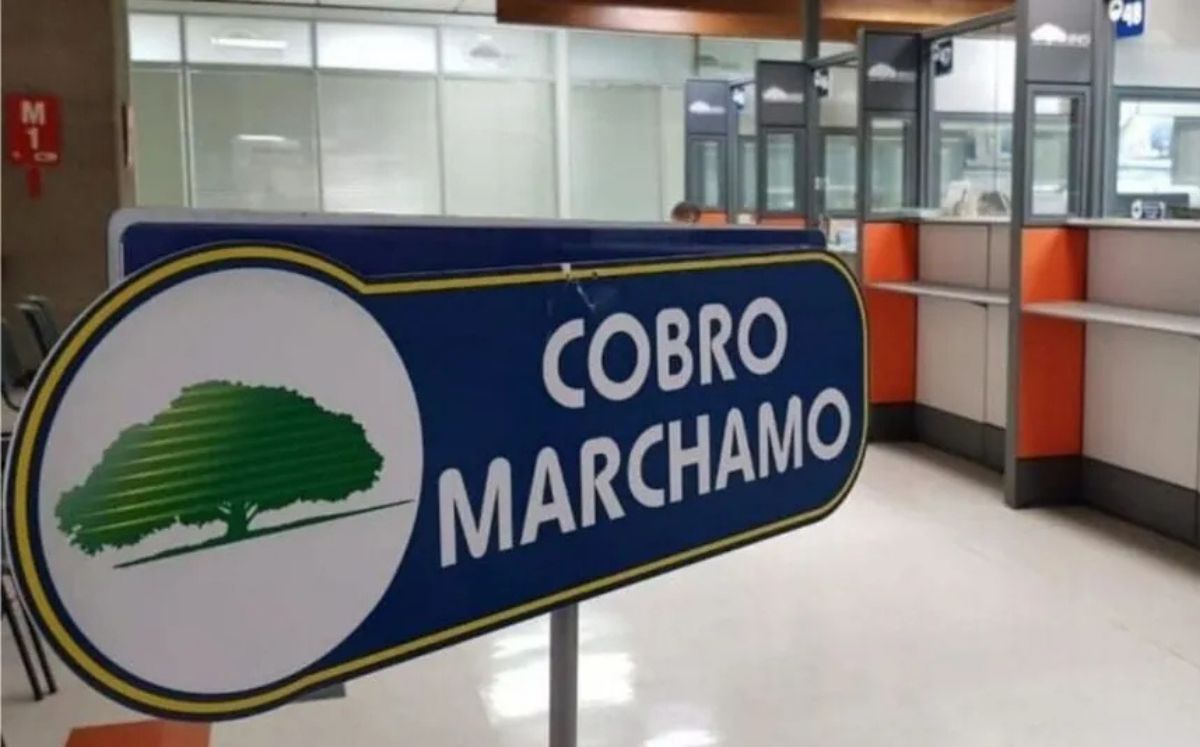 Consulte AQUÍ el monto a pagar del marchamo 2026