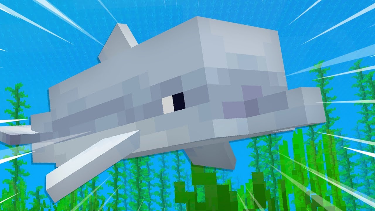 The new dolphins saved me in Deep End survival