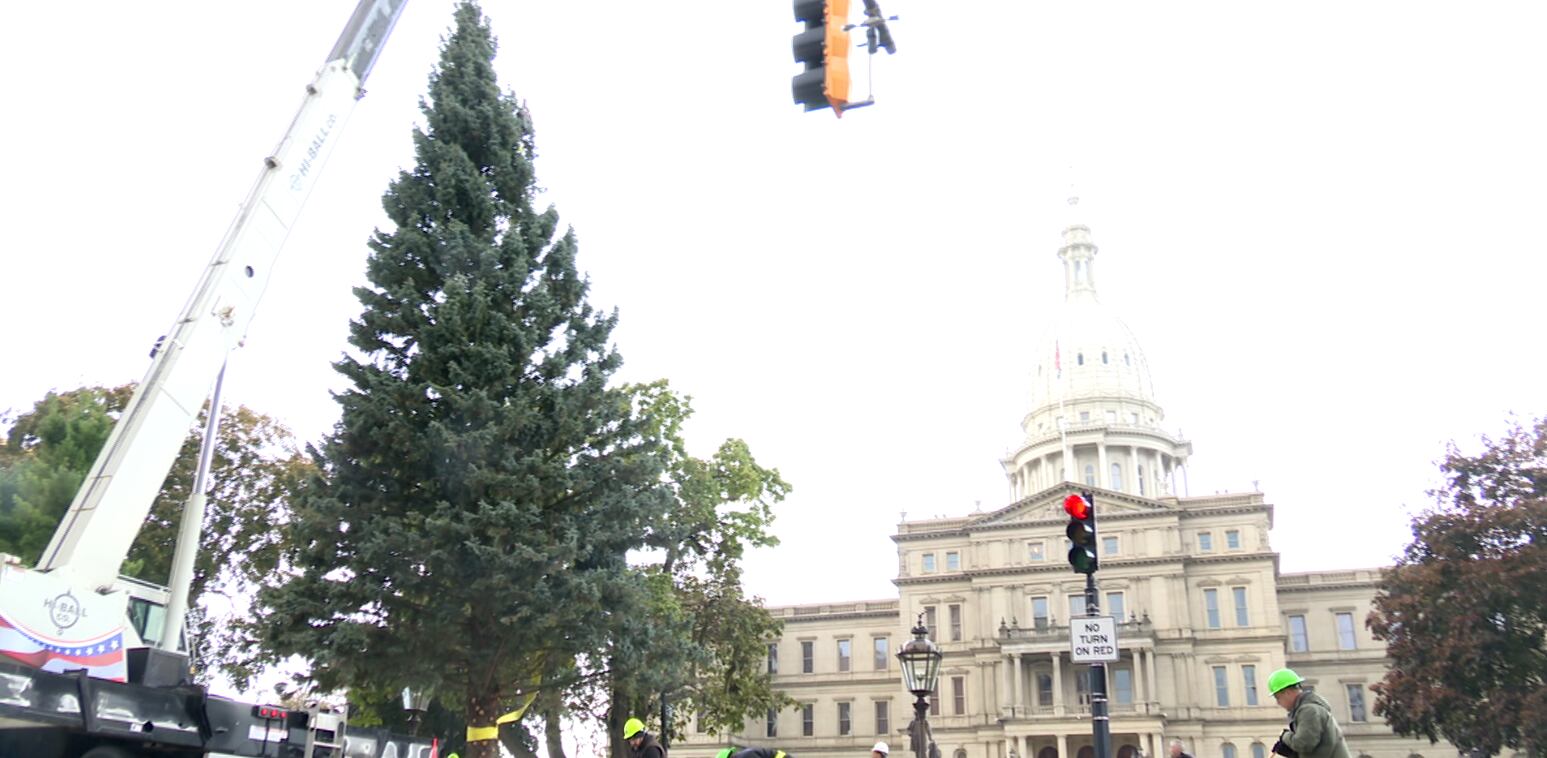 The search for Michigan’s 2026 state Christmas tree is already underway