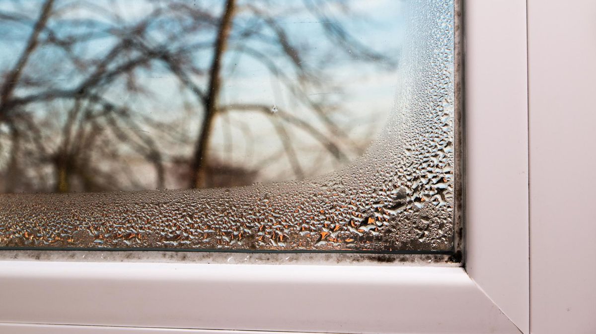 Immer Kondenswasser am Fenster? WISH-Regel sofort anwenden