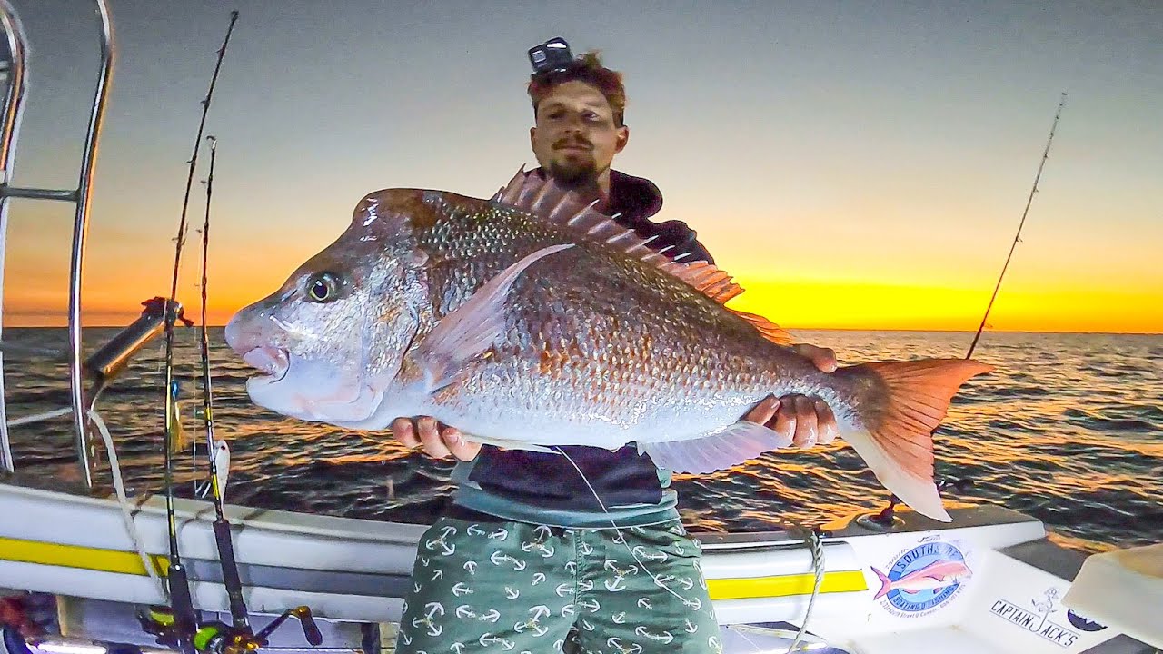 Big snapper on glowing soft plastic lures at last light