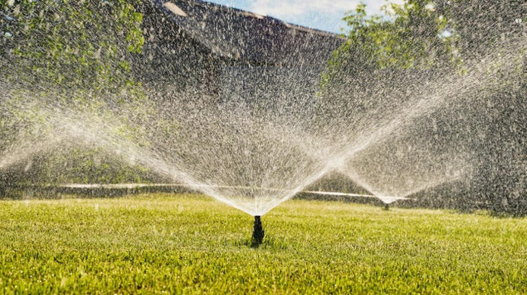 In-Ground Vs Above Ground Sprinklers: Which Is Best For Your Yard