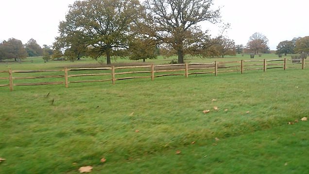 Fencing goes up around Wills and Kate's new home in Windsor Great Park