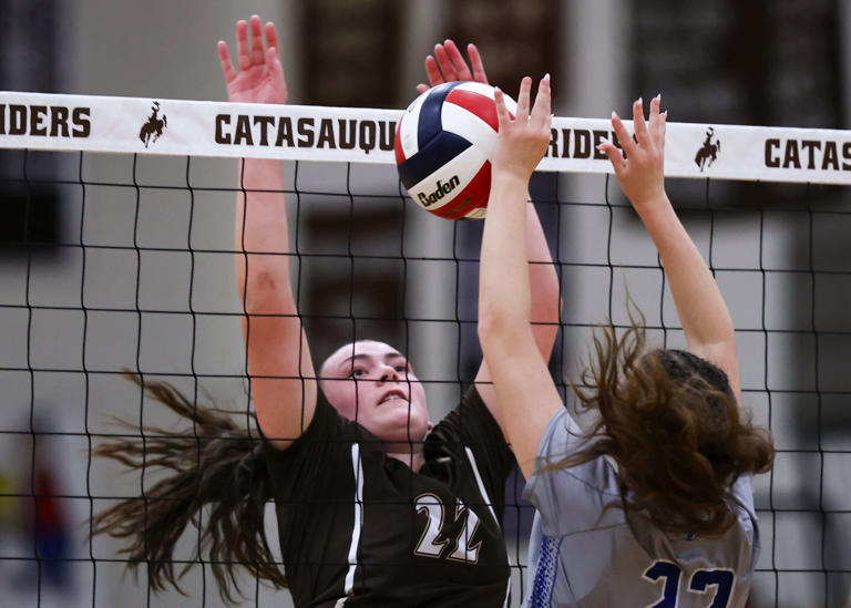 2025 PIAA girls volleyball tournament brackets