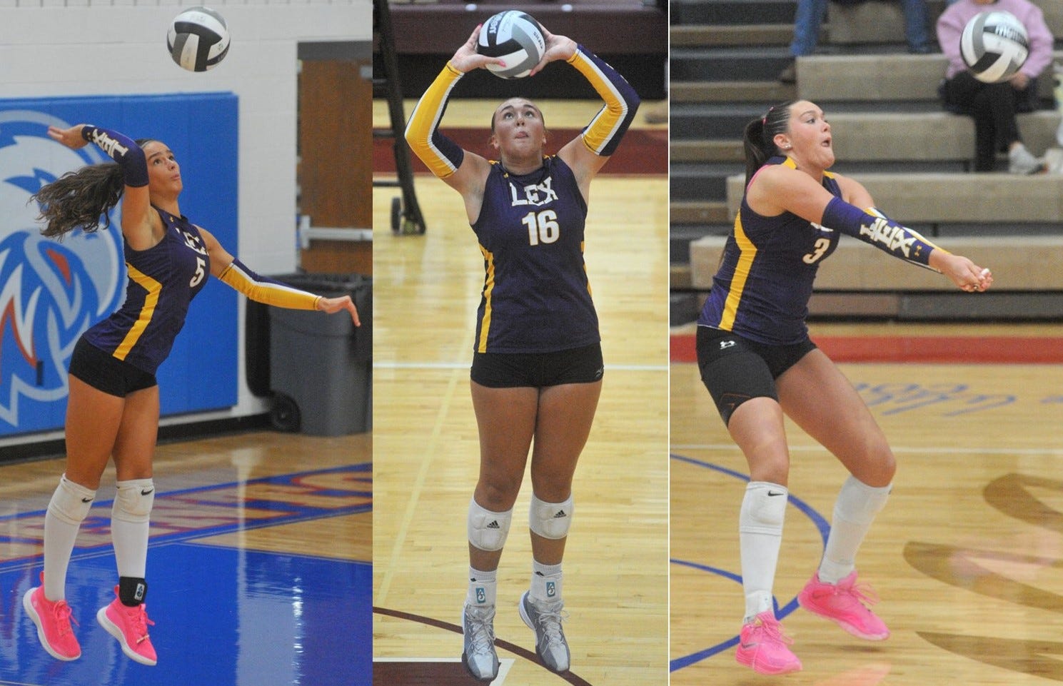 Lexington trio named Division III All-Ohioans for 2025 volleyball season