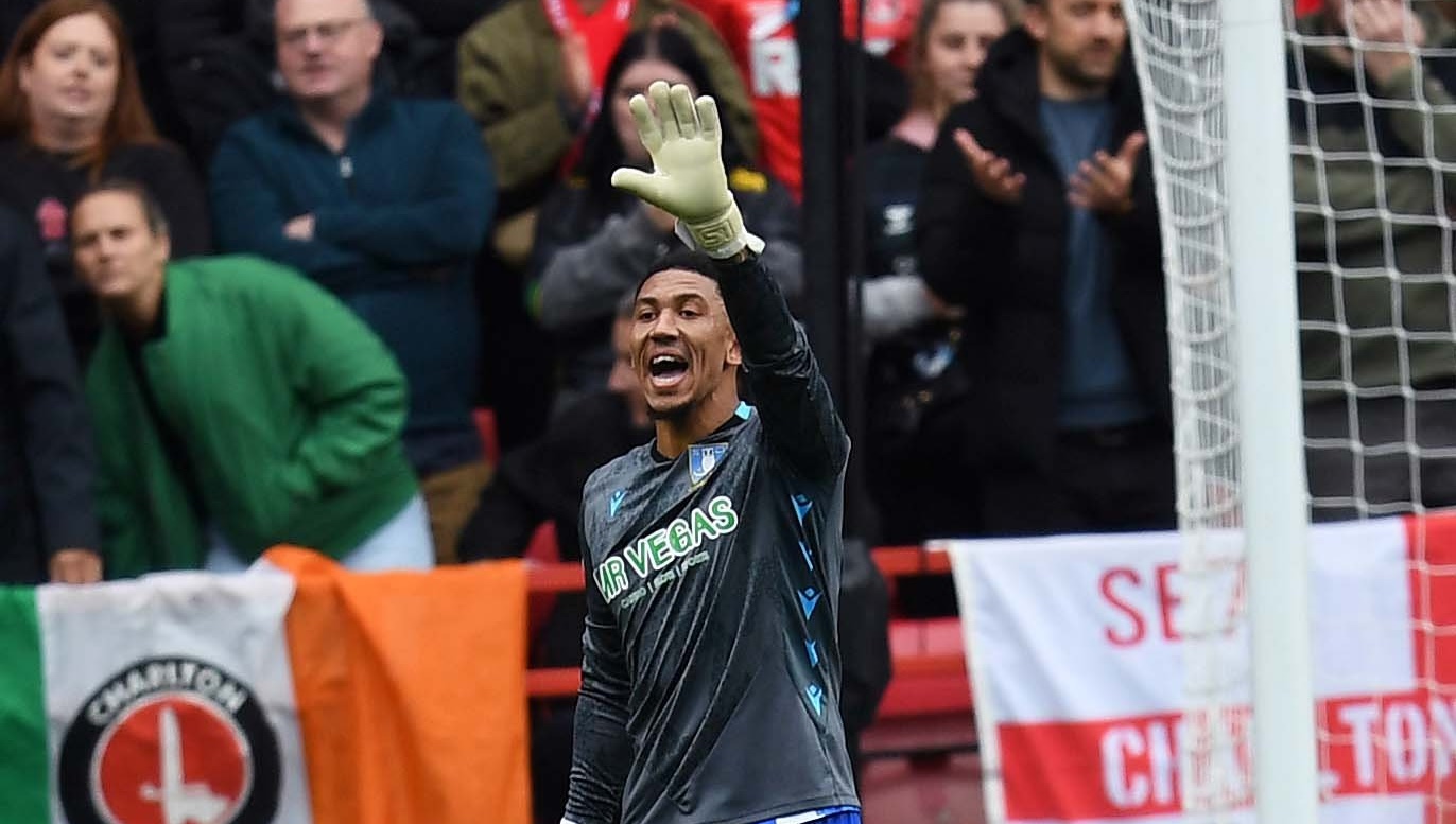 One Sheffield Wednesday legend to catch another at Hillsborough's blue ...